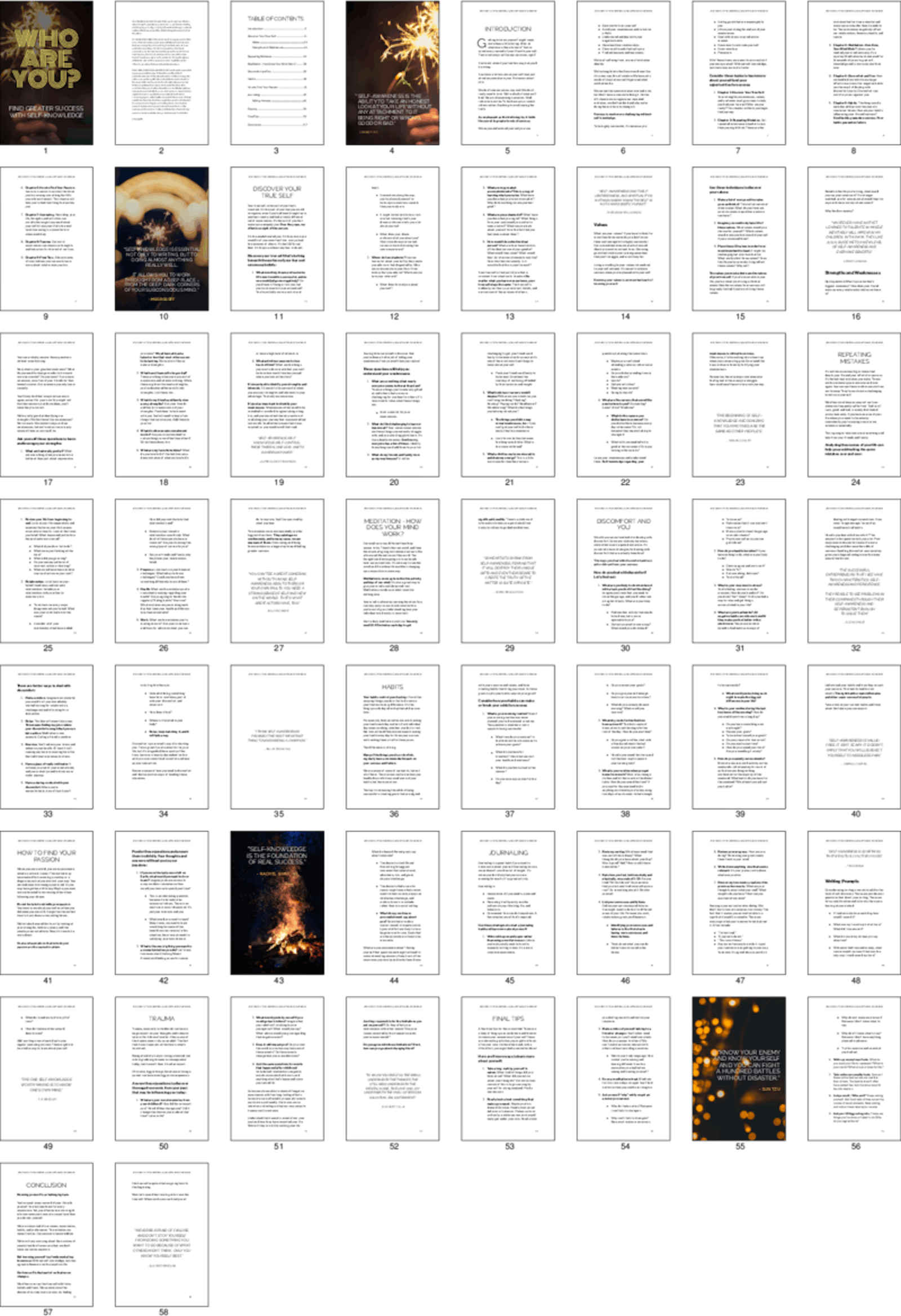 PLR Reports EBooks Who Are You Find Greater Success With Self plr-reports-ebooks-who-are-you-find-greater-success-with-self